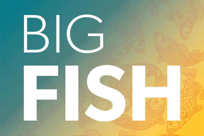 BIG FISH | Minnesota Playlist